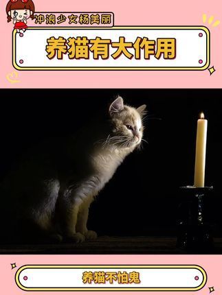 原来养猫还有这样的作用 #猫咪 #神兽 #驱邪 #传统文化