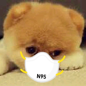 偷猫大队大队长- 