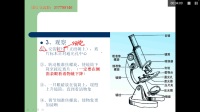 6、七年级上册生物使用显微镜