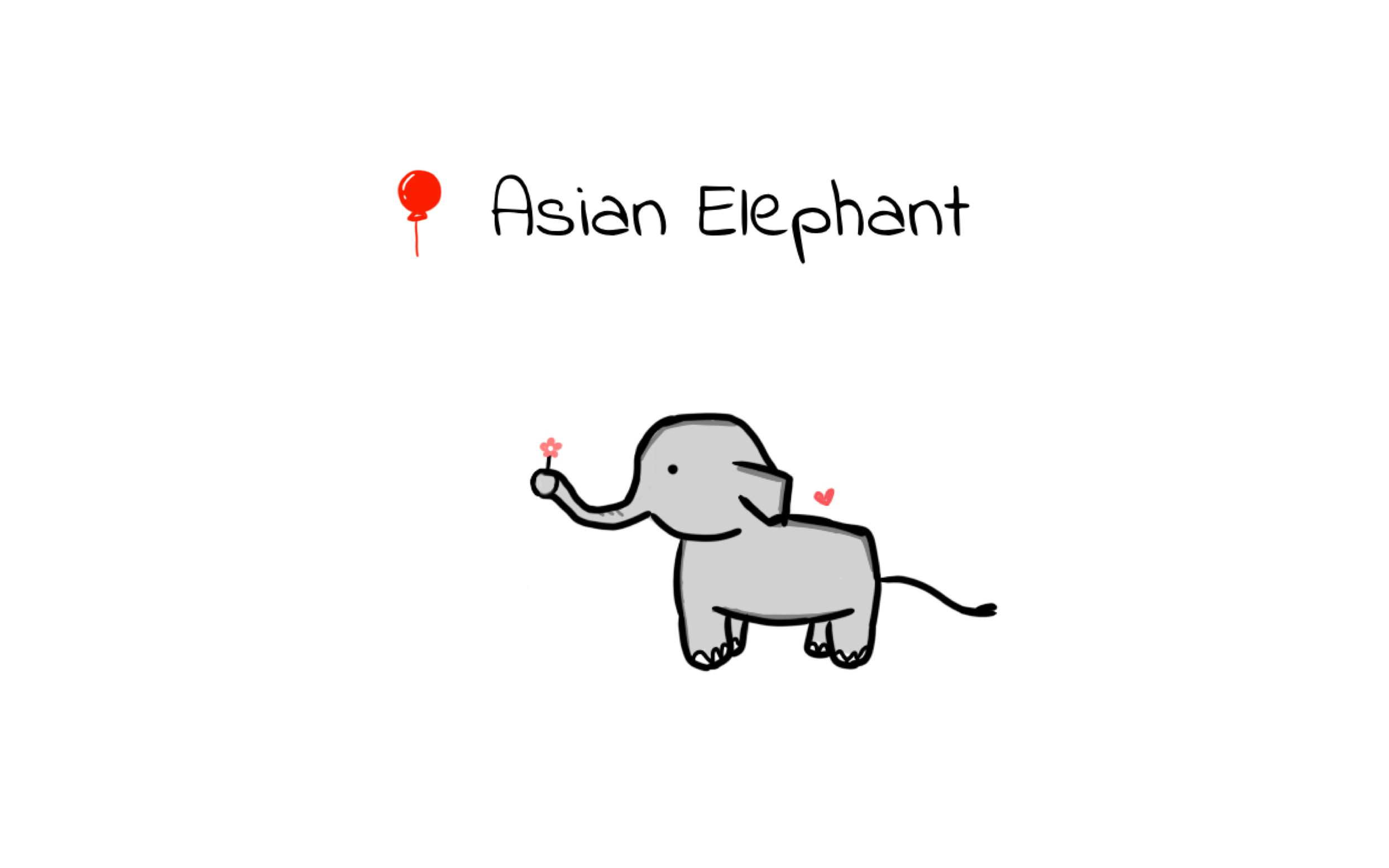 【奇怪的科普】动物界数学家生存图鉴ߐ� Asian Elephant 亚洲大象