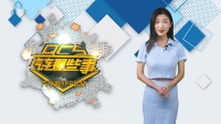 广州上“绿牌”设立大门槛!原来限制的不是消费者,而是厂家?