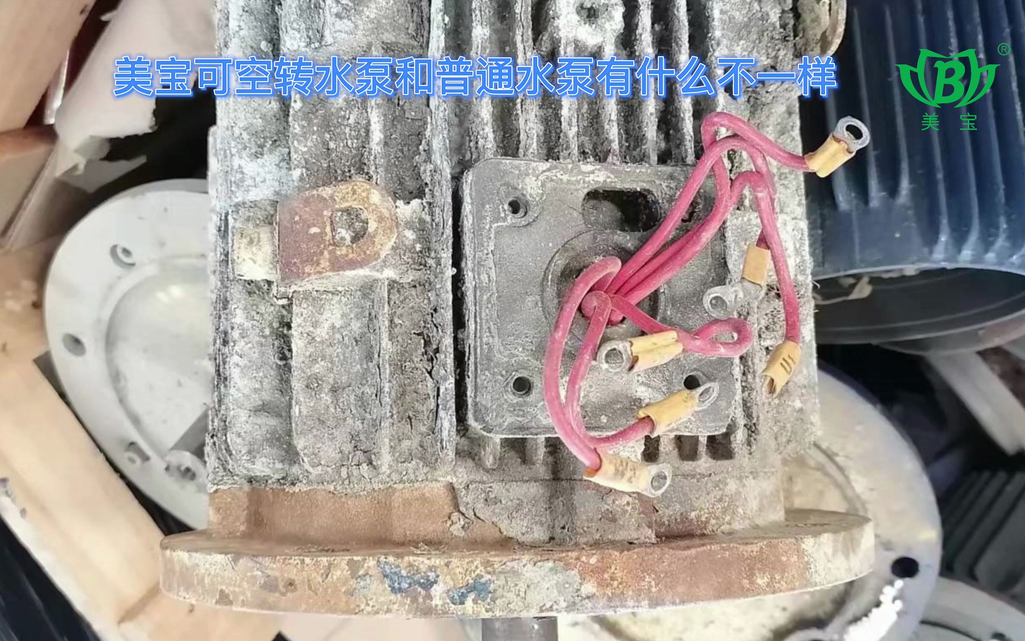 美宝可空转水泵和普通水泵有什么不一样?