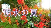 生活在明水——山东财经大学,团委新闻中心“大学大学堂”。网络部。
