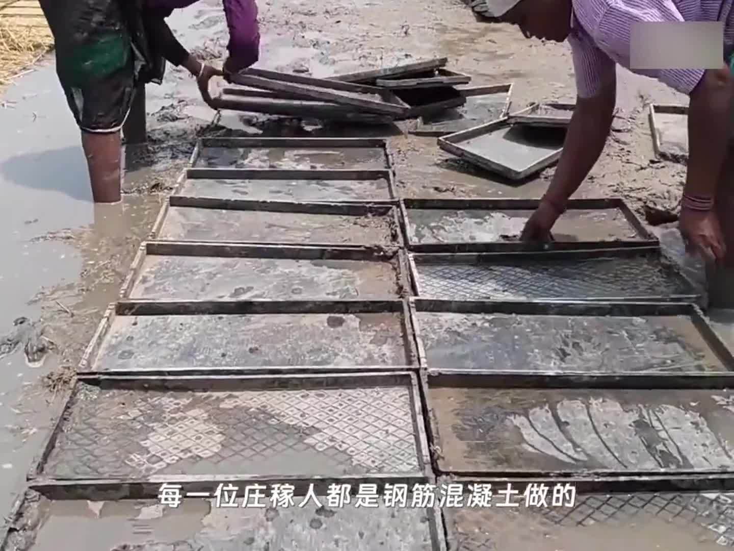 水稻种植:复杂播种操作实则是为省事!