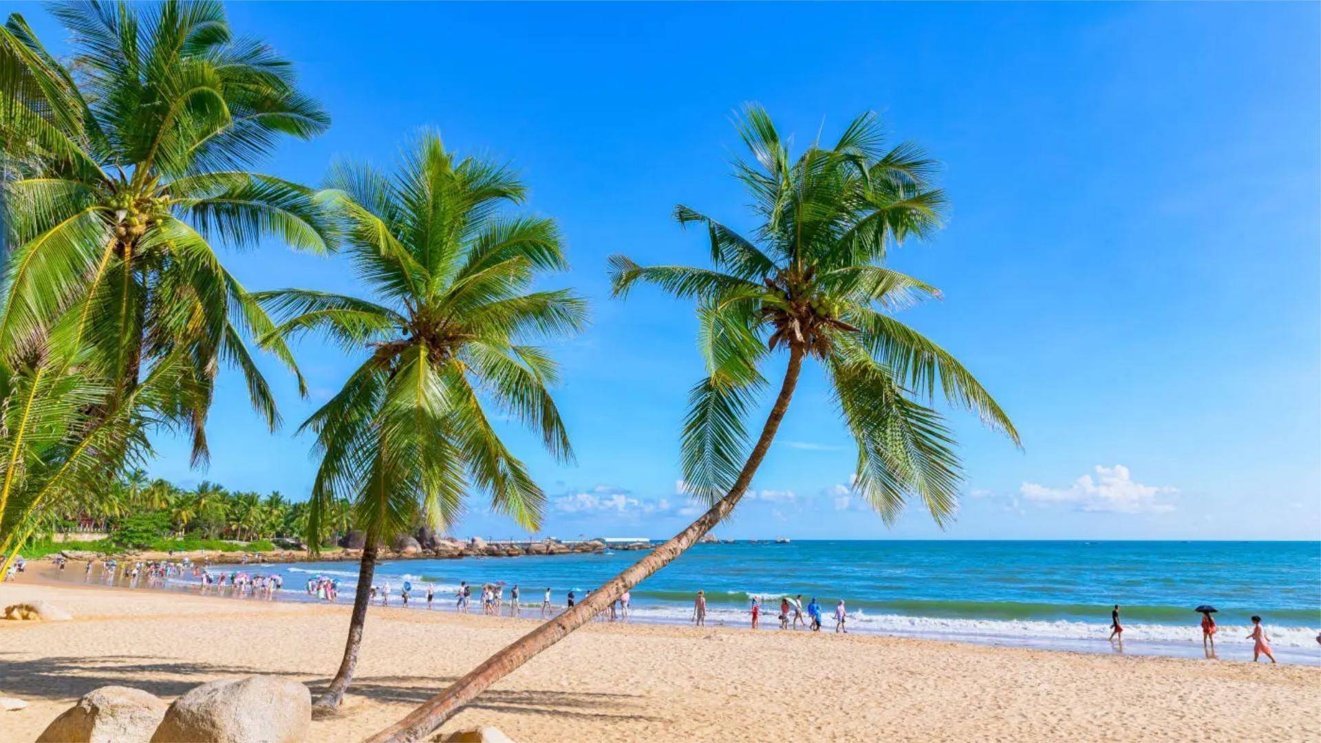 8499元订民宿被临时毁约,三亚通报