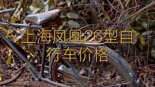 上海凤凰26型自行车价格曝光!经典复古款竟如此亲民