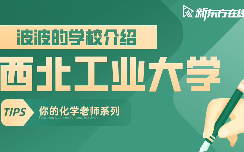 【他的母校】飞行器设计专业的波波老师