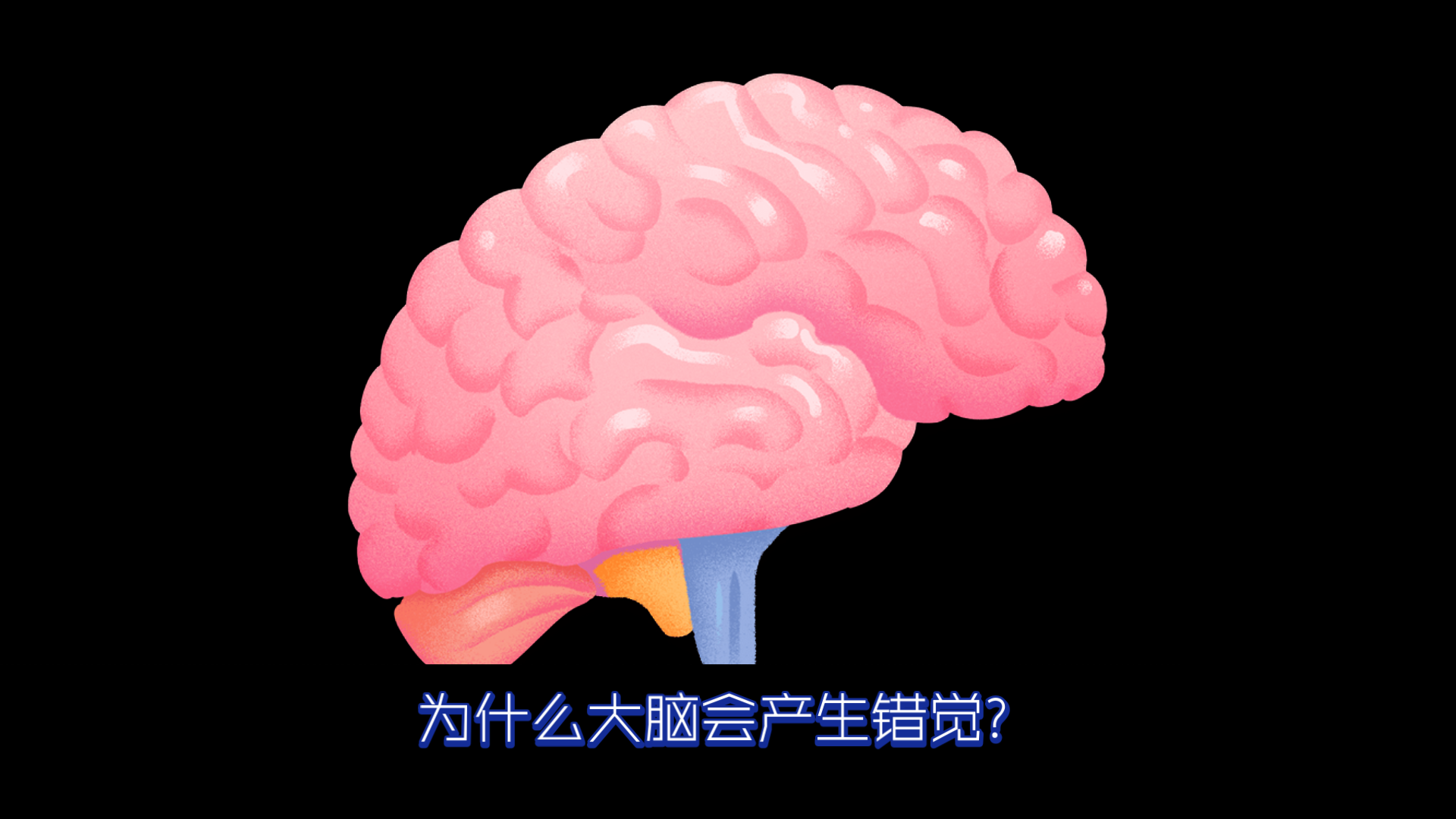 大脑为何会产生错觉?