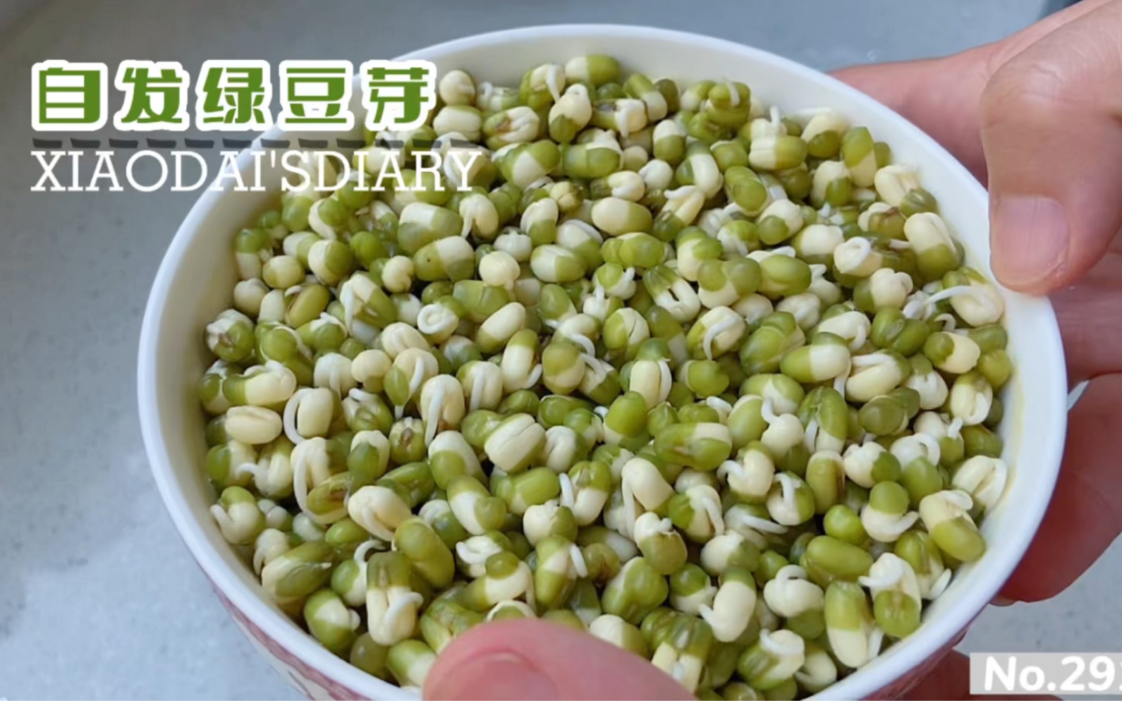 在家自发绿豆芽,只需绿豆和水,1天出芽,3天就能吃,0添加