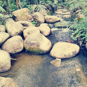 昵称能取这么么么么长 