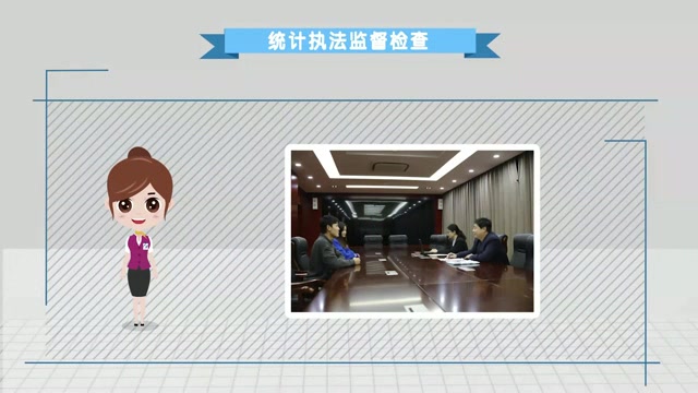 统计执法监督检查