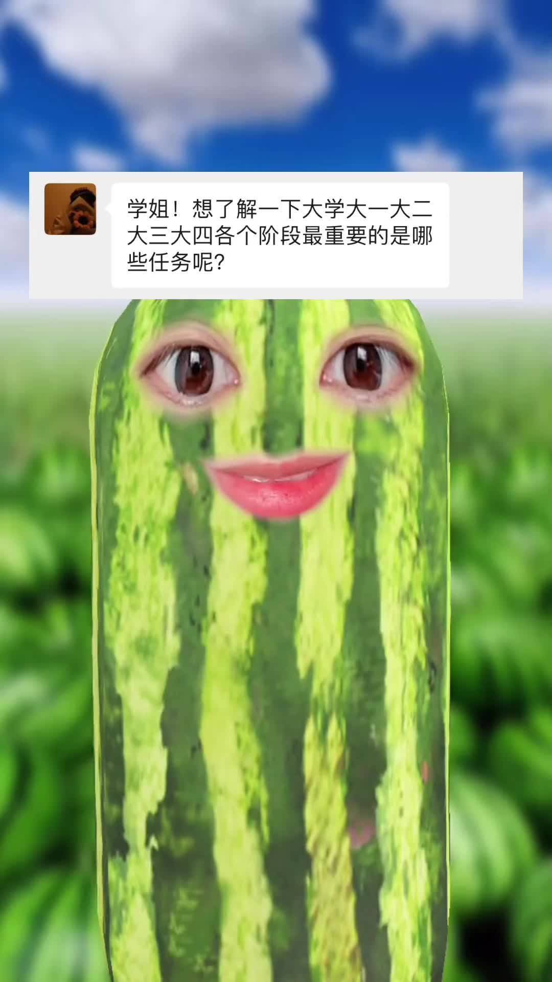 大一到大四全攻略!大学期间生涯规划、职业规划一条视频教会你~