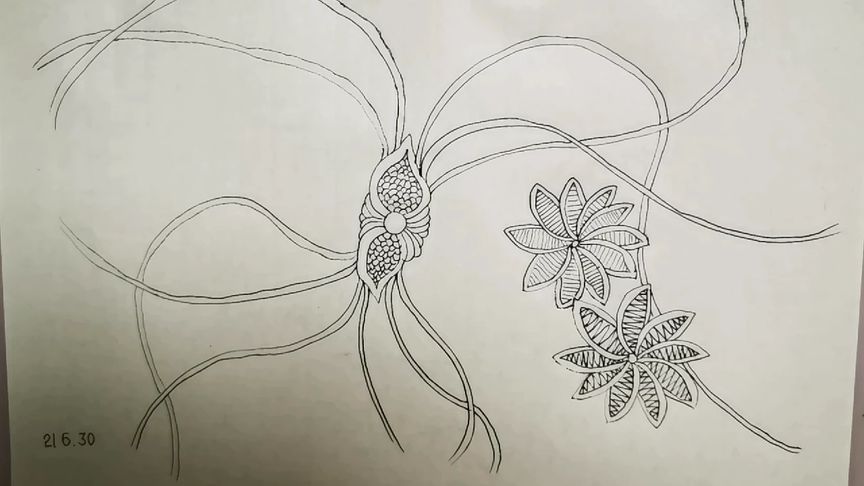 中式编结花纹样线描画