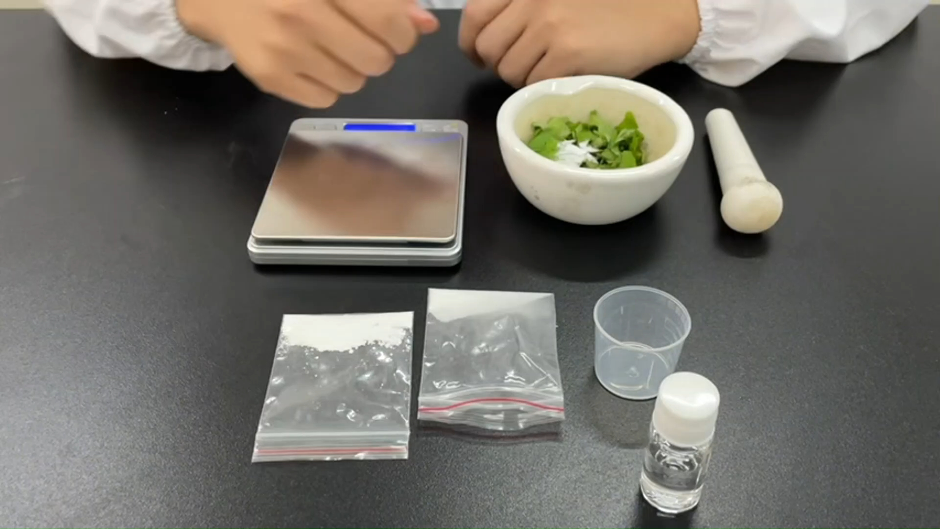 【初中组】星际绿源:叶绿素层析实验