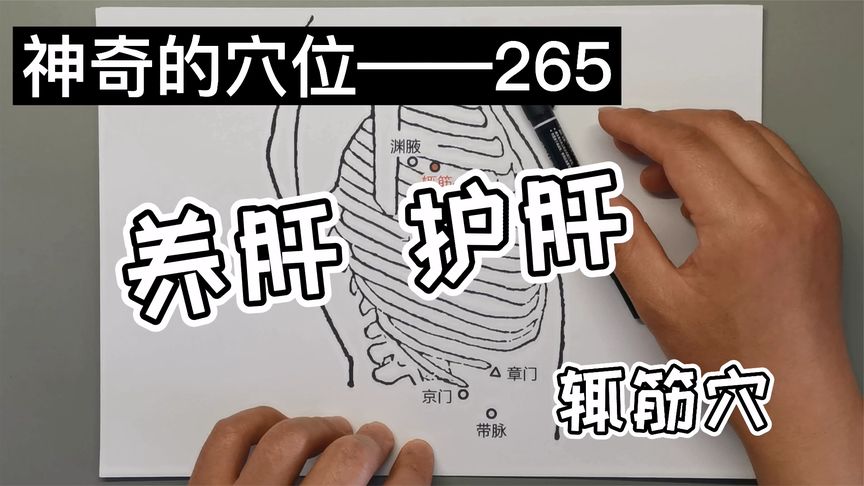 神奇的穴位——辄筋穴可以养肝、护肝。