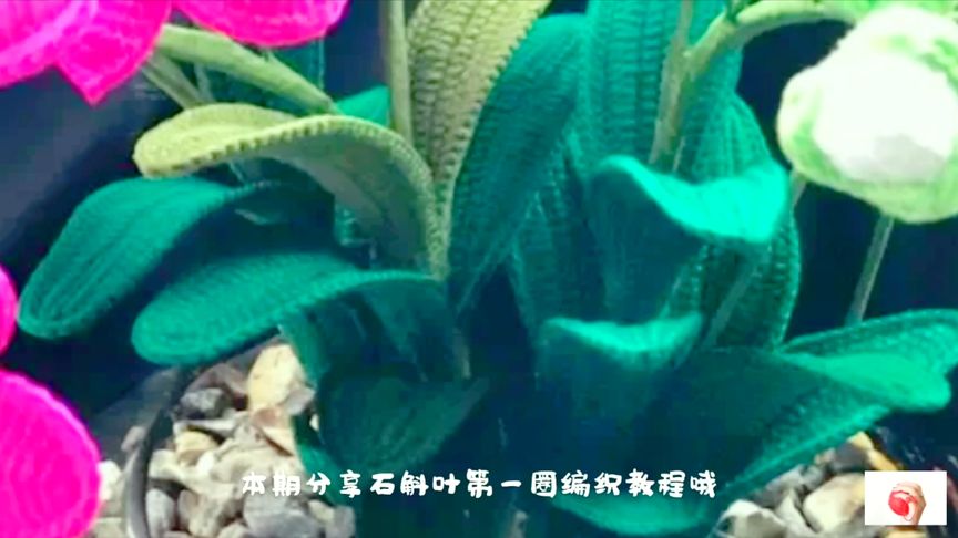 手工编织石斛叶第一圈,针法不要太简单了,钩针入门教程