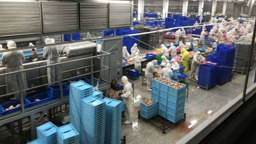 大龄工朋友们的福音,这个企业能接收58岁的工人,工资计件待遇好