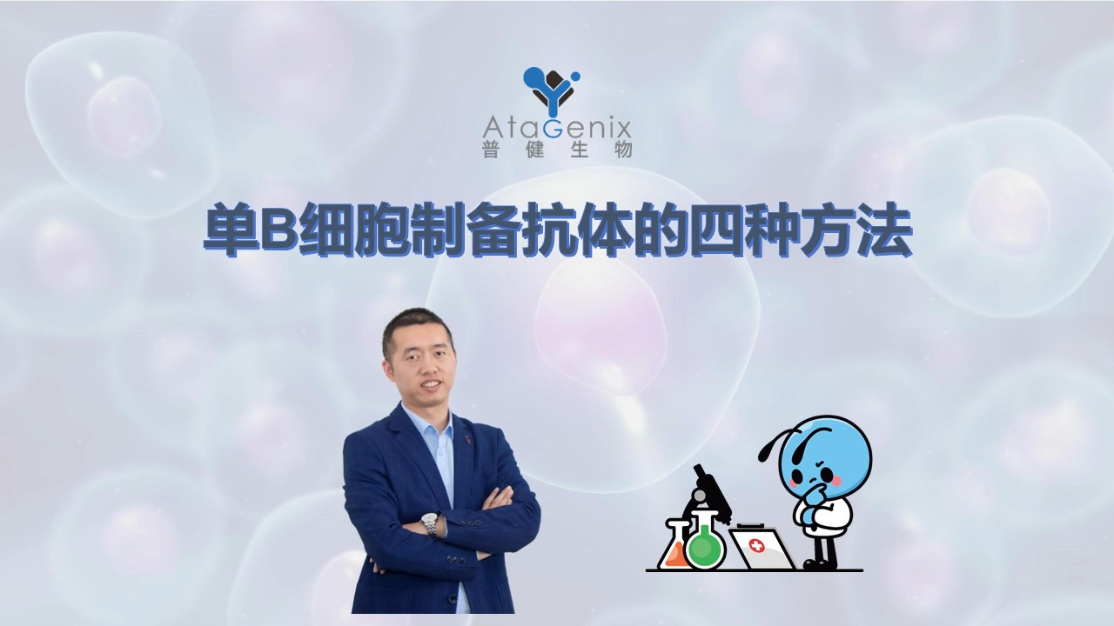 【普健生物】单B细胞制备抗体的四种方法