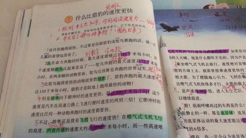 五年级语文上册说明文什么比猎豹的速度更快