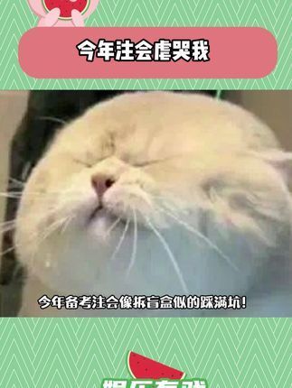 被今年注会虐惨了,还好发现它及时救场#东奥会计 #注会 #东奥CPA #...