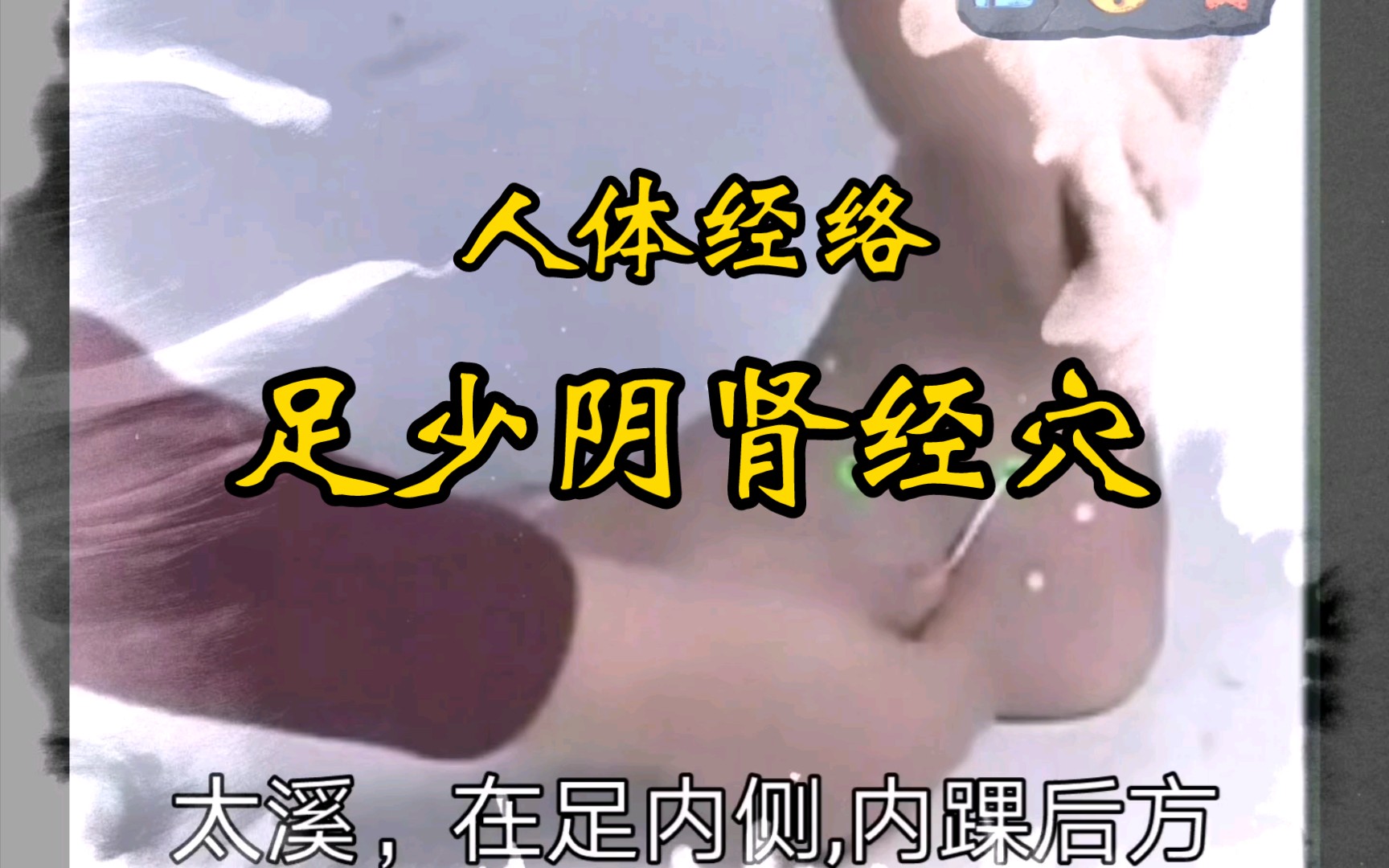 人体经络:足少阴肾经穴