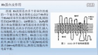 RH血型(148三)