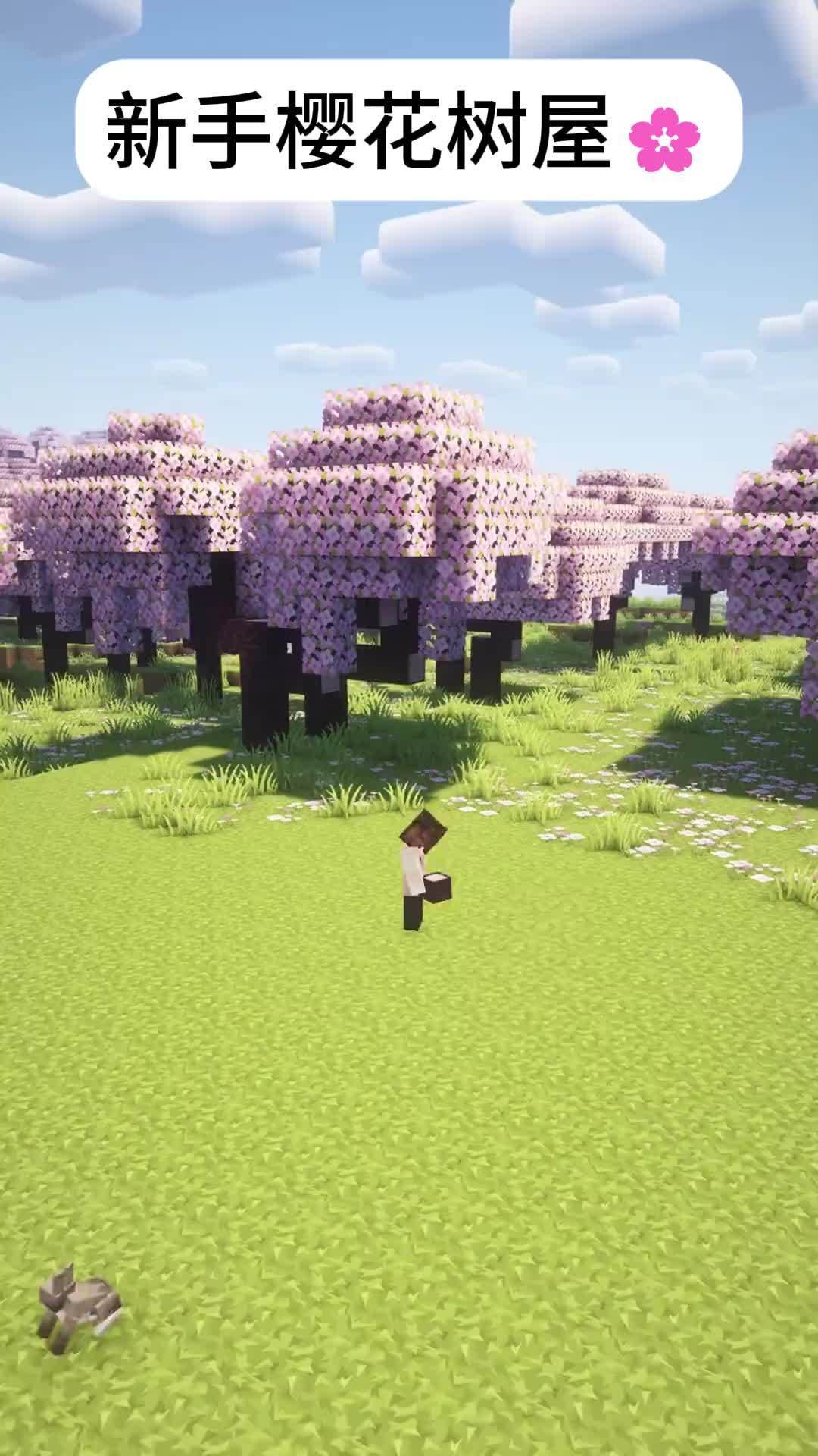 我的世界新手樱花树屋