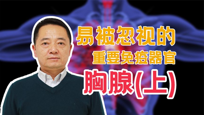 胸腺是重要的免疫器官,与身体健康紧密相连,教你如何保护(上)