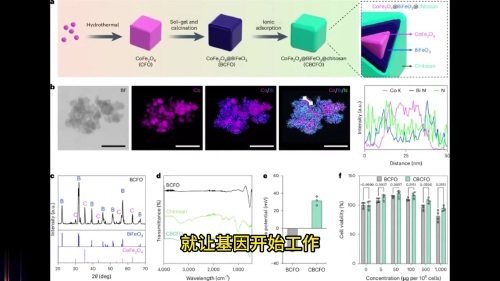 无线磁控基因表达治疗