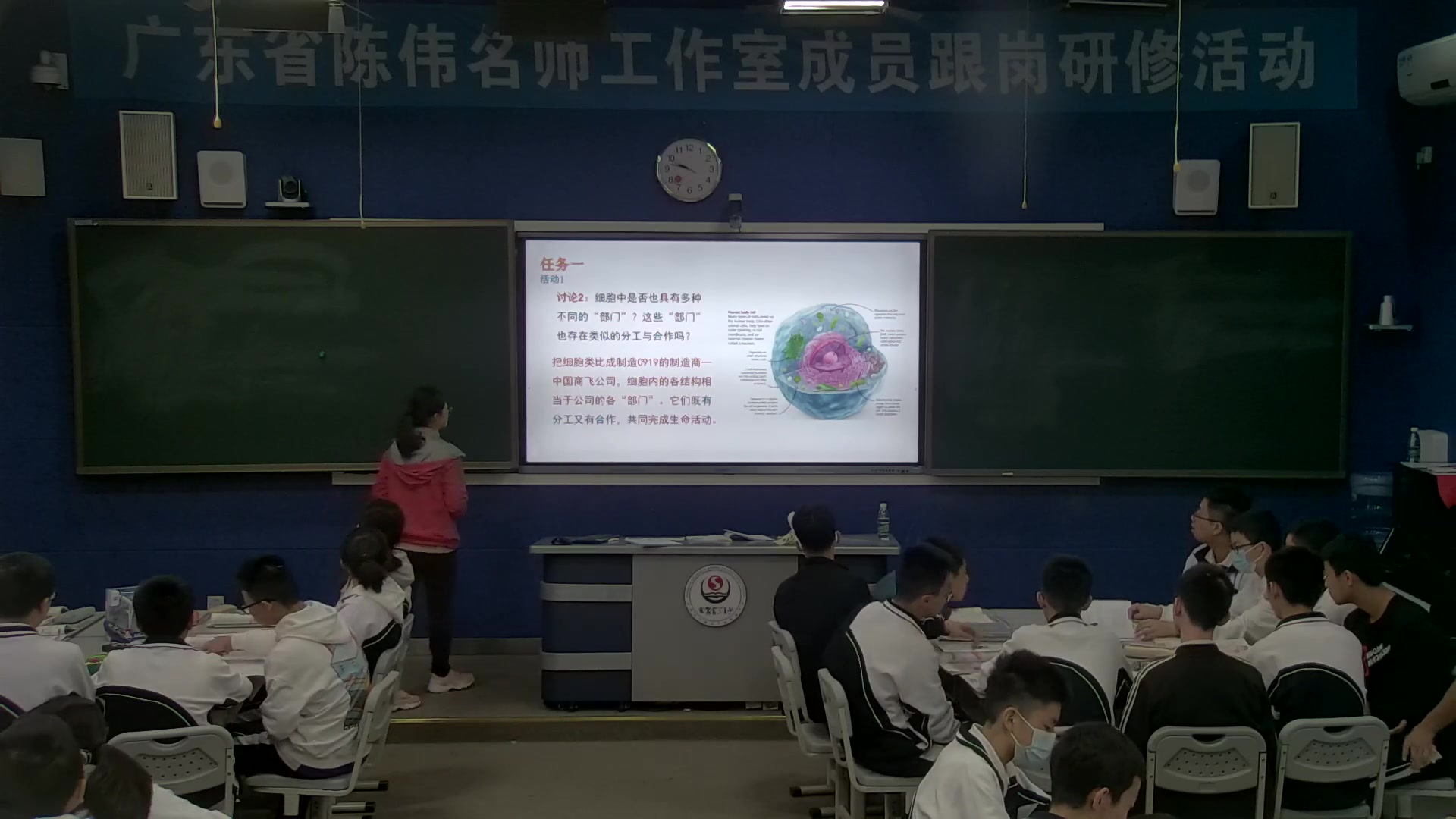 细胞器之间的分工合作