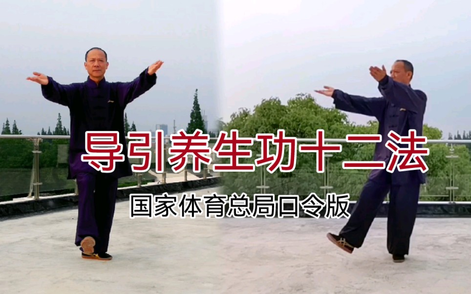 健身气功《导引养生功十二法》国家体育总局口令完整版示范,每天练习