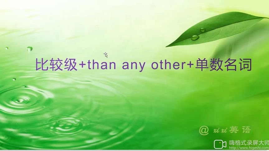 英语考点 八上 2-21比较级+than any other+单数名词