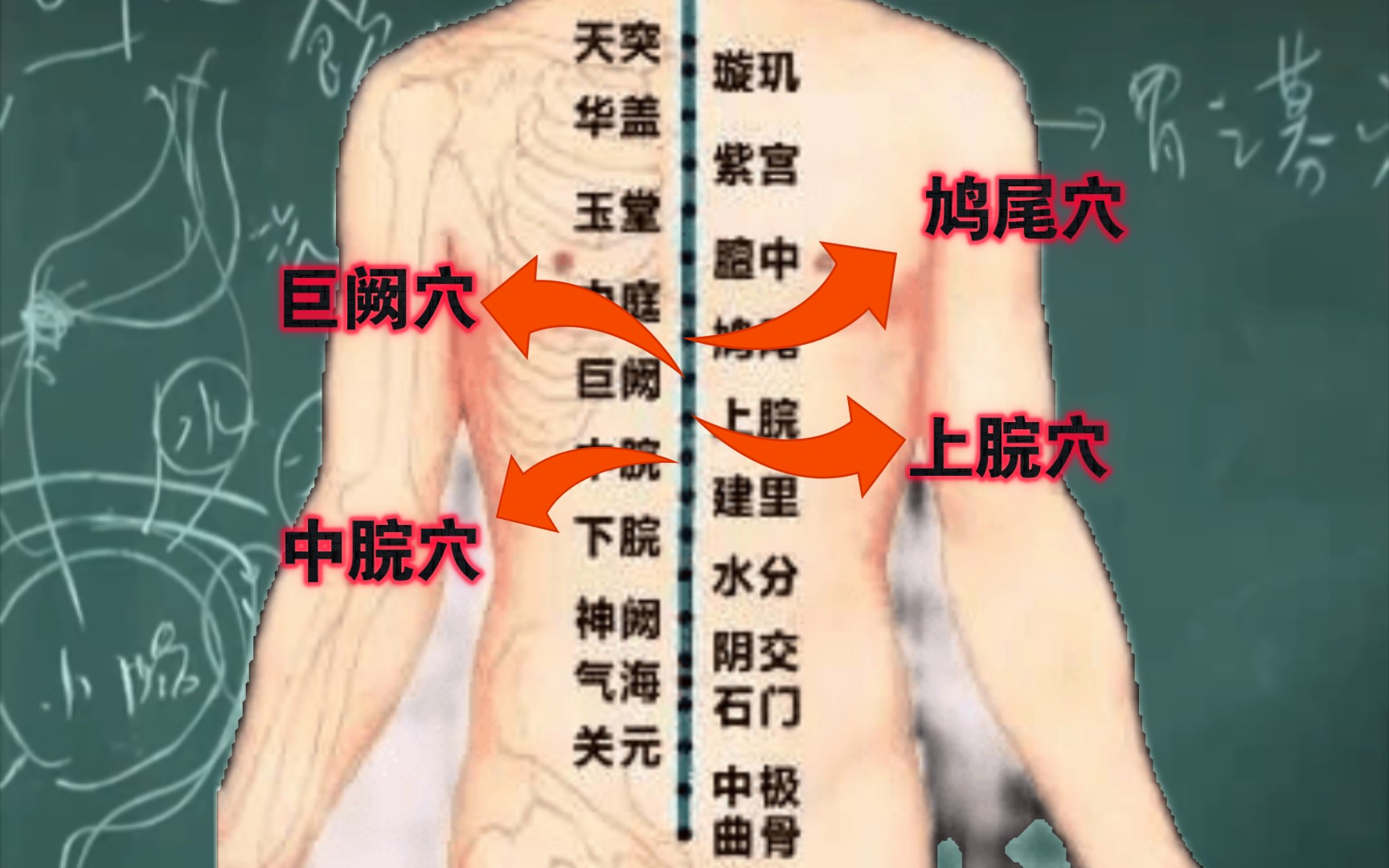 任脉穴位介绍之中脘穴,上脘穴,巨阙穴,鸠尾穴|巨阙心之募穴|中脘胃之...