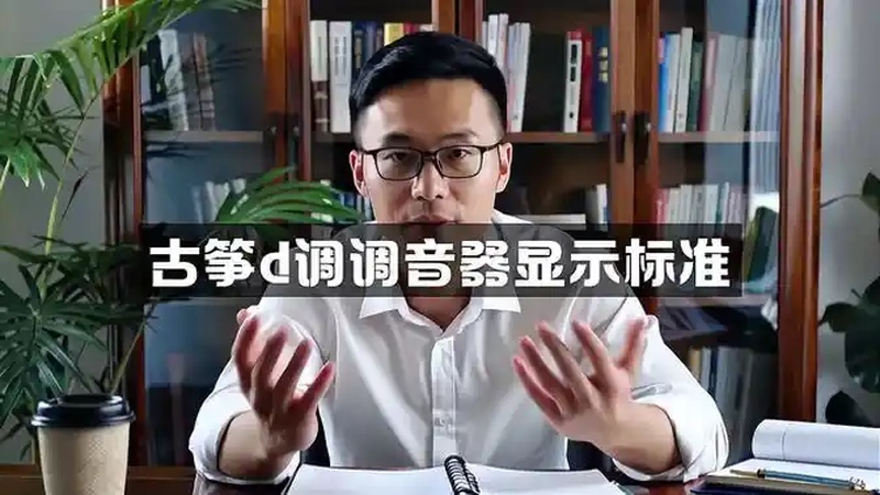 古筝d调调音器显示标准