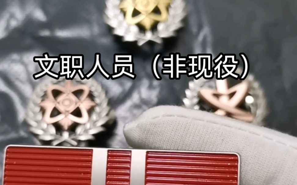18式文职人员管理与专业技术岗位的区别,都分金银铜色,等级标志管理...