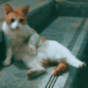 叫挞仲点野啊 