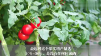“磷酸二氢钾”的正确用法!这些农药同放一起,会加速变质失效