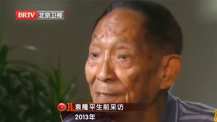 袁隆平当年研究培育杂交水稻,是什么,让他坚信一定能成功