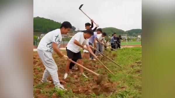 宣传学校被吐槽为“招生减章”,学生:劳动实践课是特色