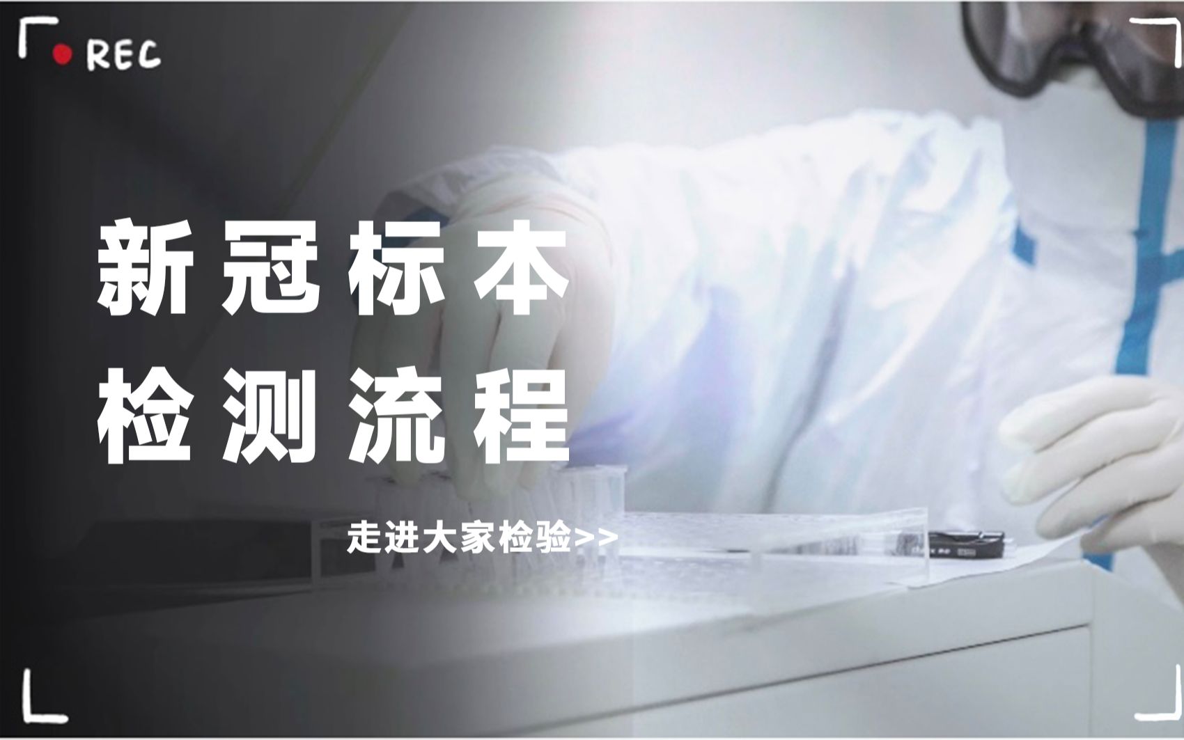 新冠标本检测流程大曝光!