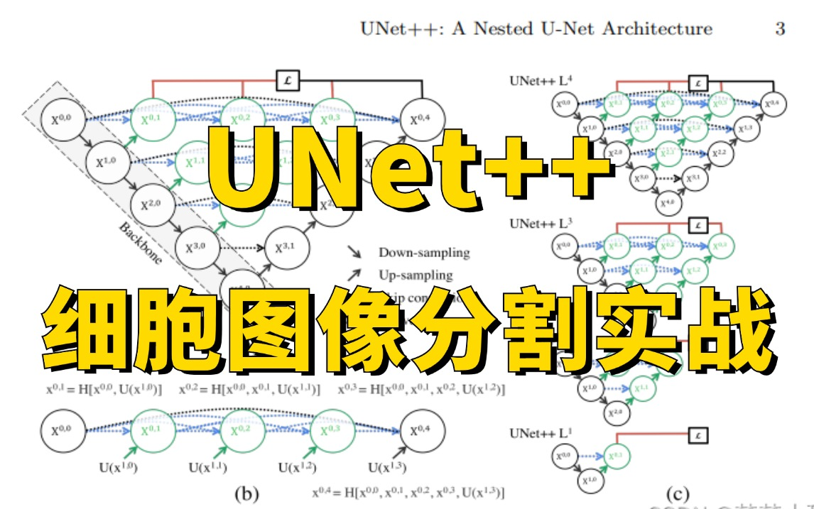 基于UNet++模型实现医学细胞图像分割,原理详解+代码精讲,手把手带...