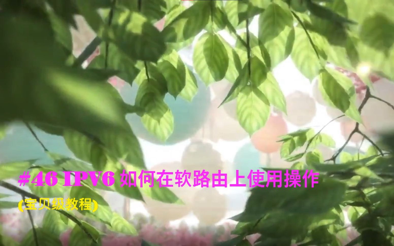 #46 IPV6 如何在软路由上使用操作--(宝贝级教程)