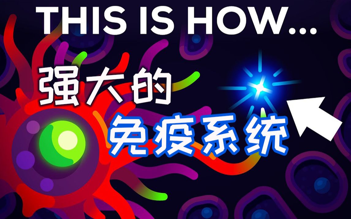 高质量科普:生病时,身体里免疫系统是如何运作的?