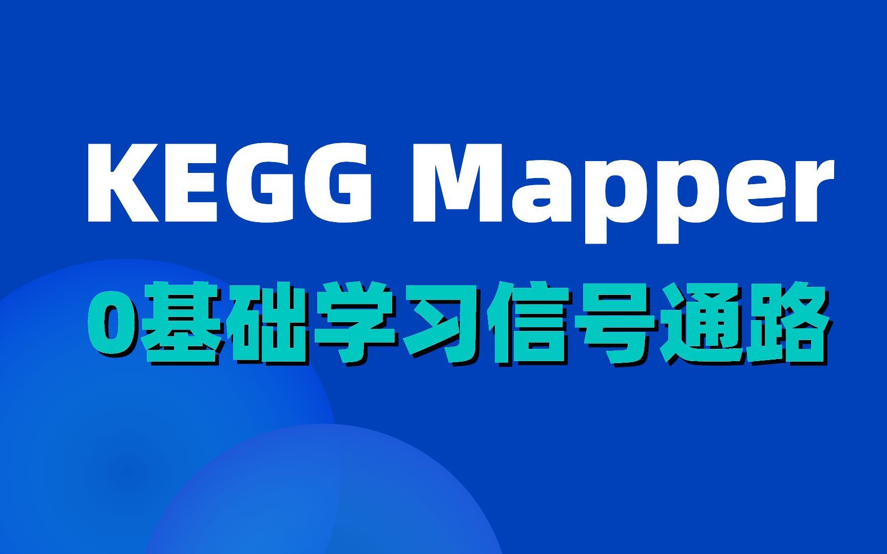12条热门信号通路|检索和解读使用全流程,实战演示