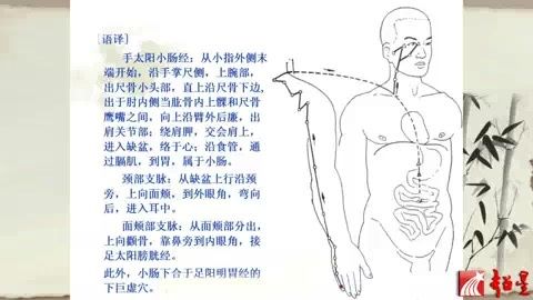 中医腧穴学之手太阳小肠经(一)73
