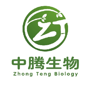 中腾生物检测团队 