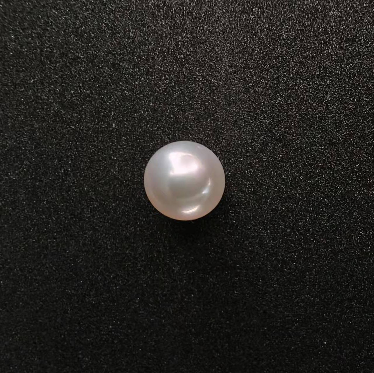 小白珠ozt 