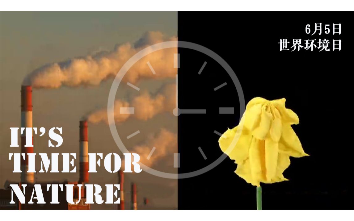 关爱自然,刻不容缓