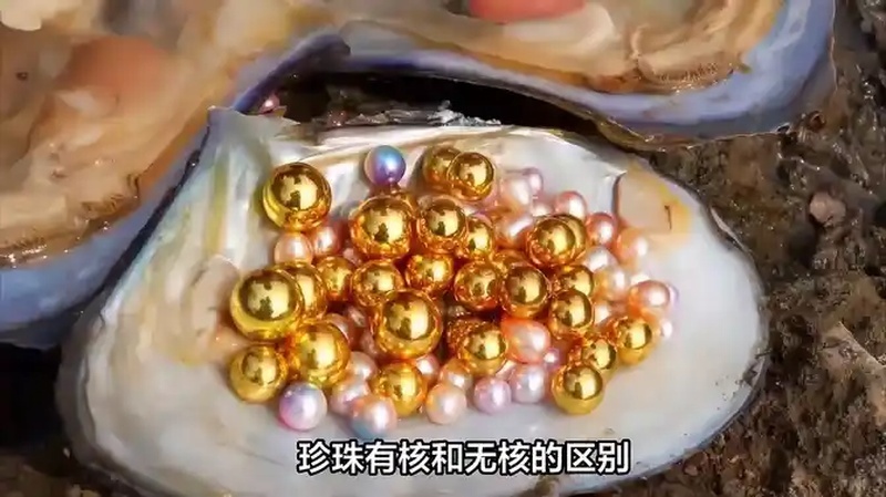珍珠有核和无核的区别,今天我们就来好好科普一下