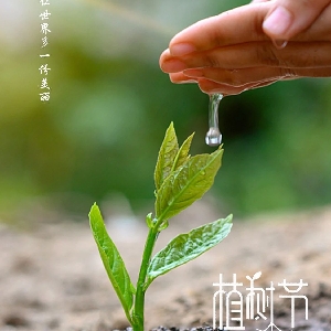 丁辉2588 